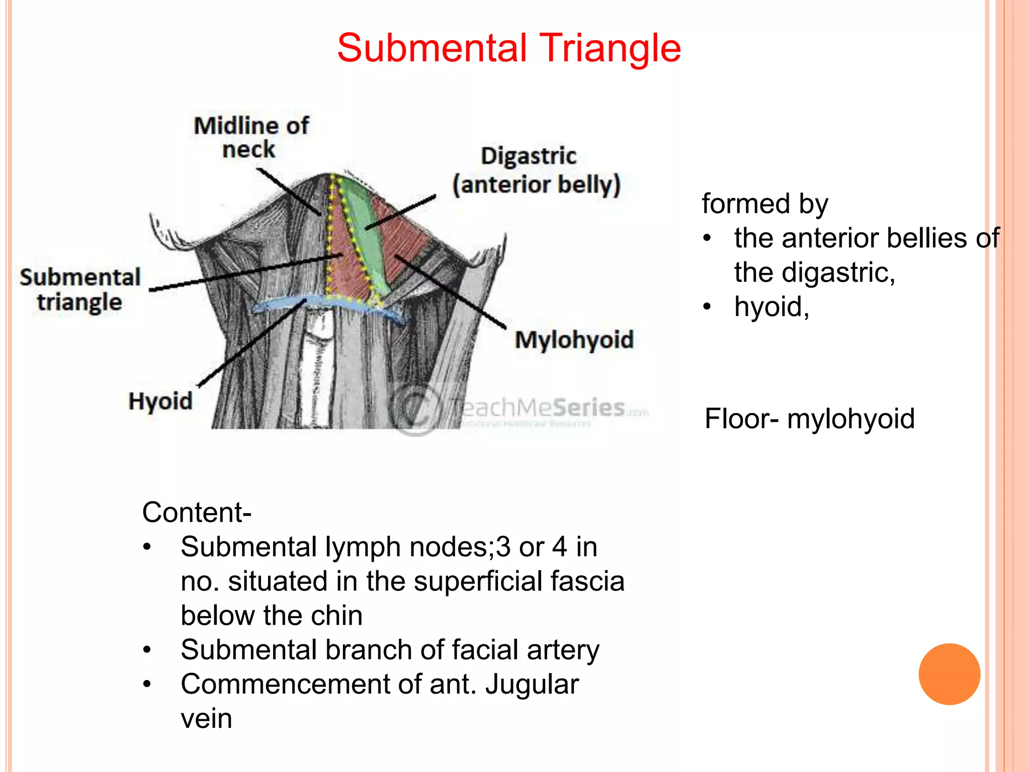 Surgical anatomy of neck and types of neck dissection | PPTX