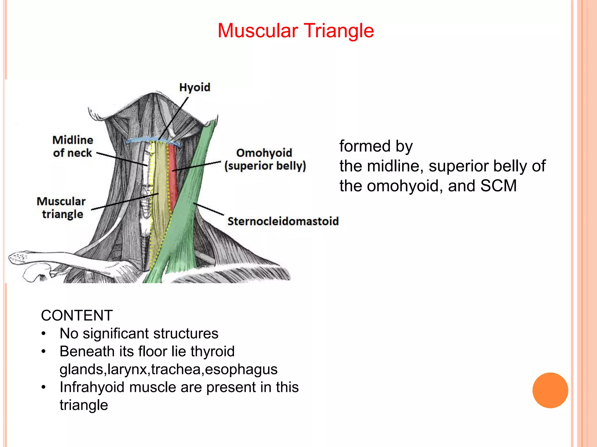 Surgical anatomy of neck and types of neck dissection | PPTX