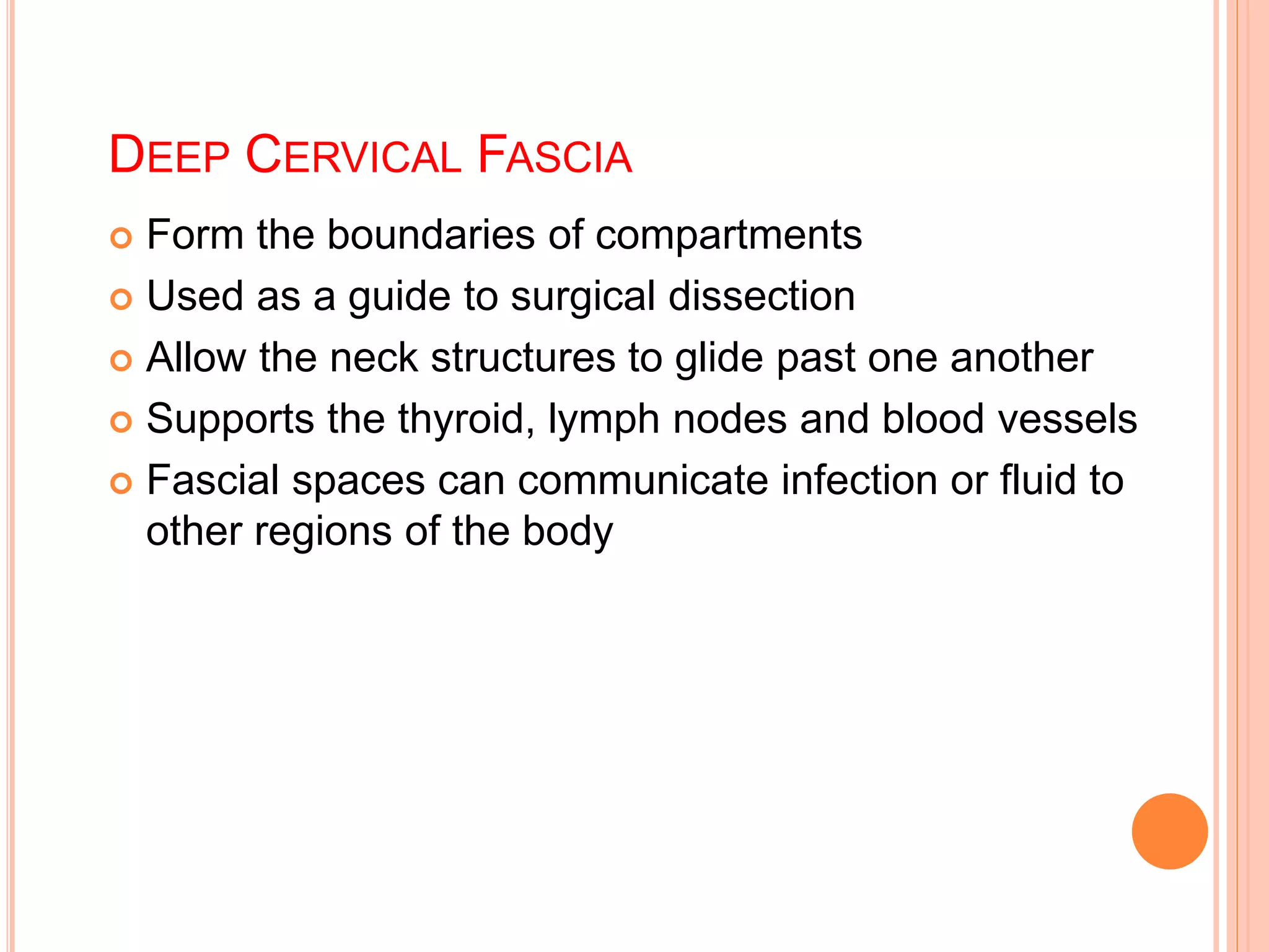 Surgical anatomy of neck and types of neck dissection | PPTX