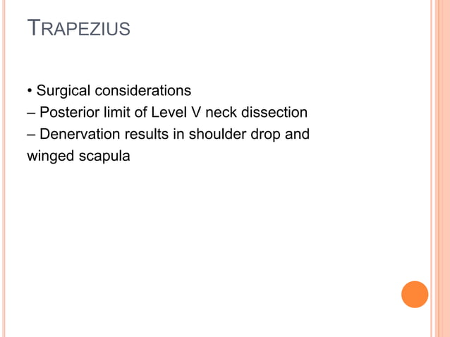 Surgical anatomy of neck and types of neck dissection | PPTX