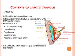 Surgical anatomy of neck and types of neck dissection | PPTX