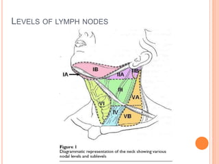 Surgical anatomy of neck and types of neck dissection | PPTX
