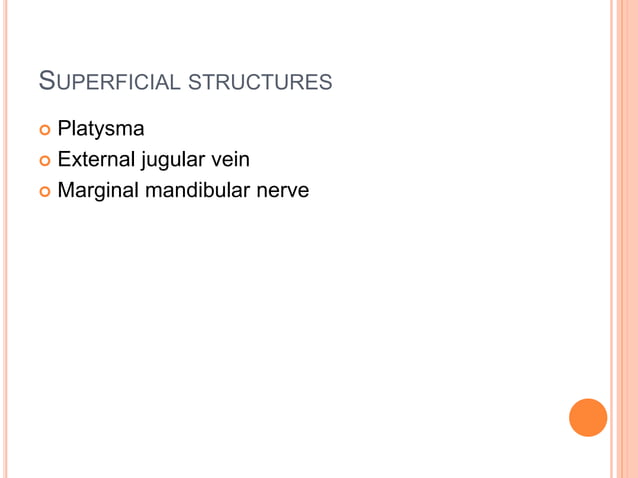 Surgical anatomy of neck and types of neck dissection | PPTX