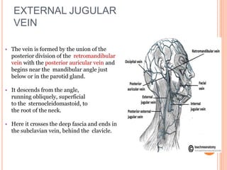 Surgical anatomy of neck and types of neck dissection | PPTX