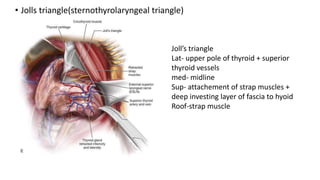Surgical anatomy of neck | PPT