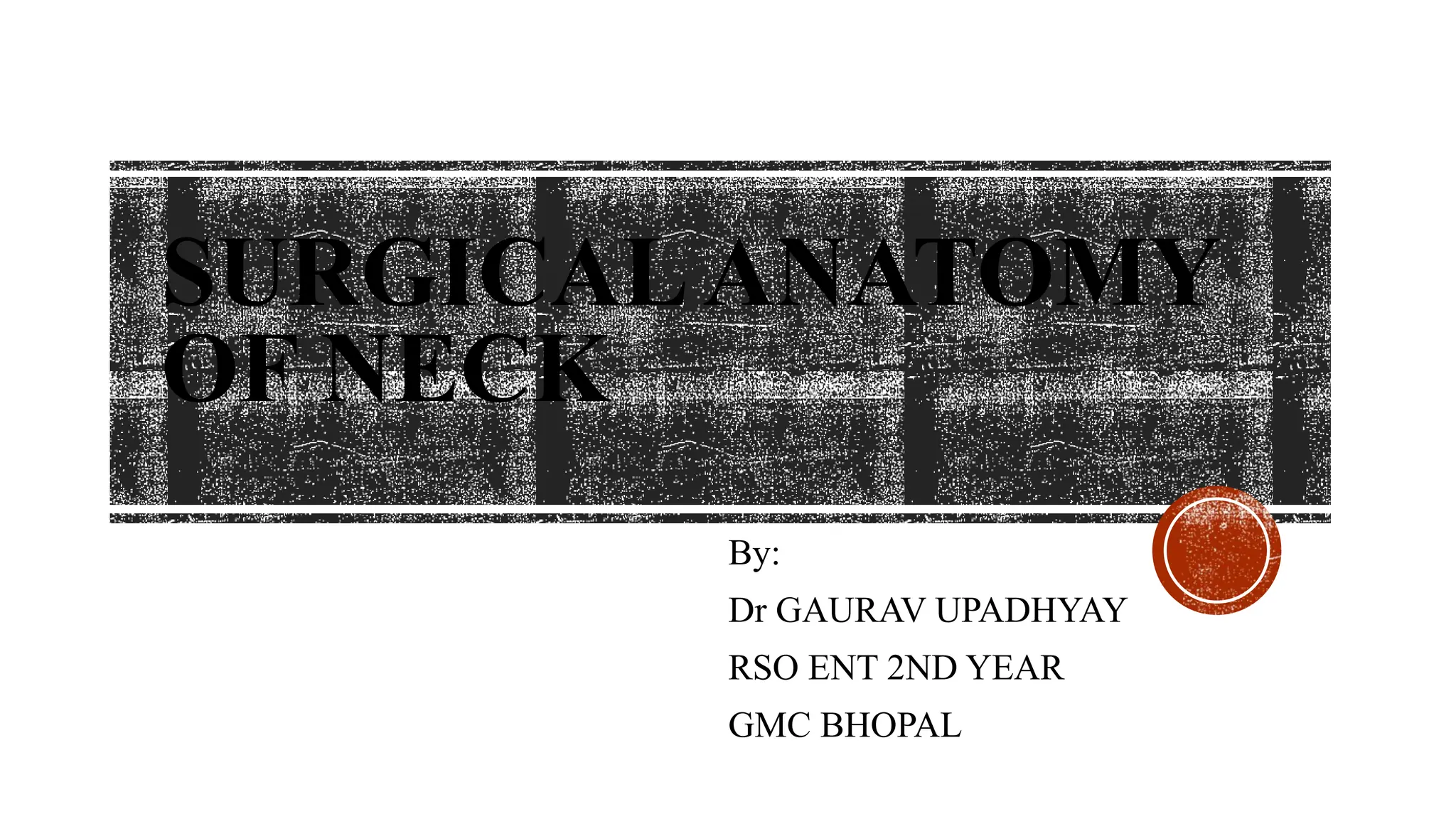 surgical anatomy of neck in depth .pptx