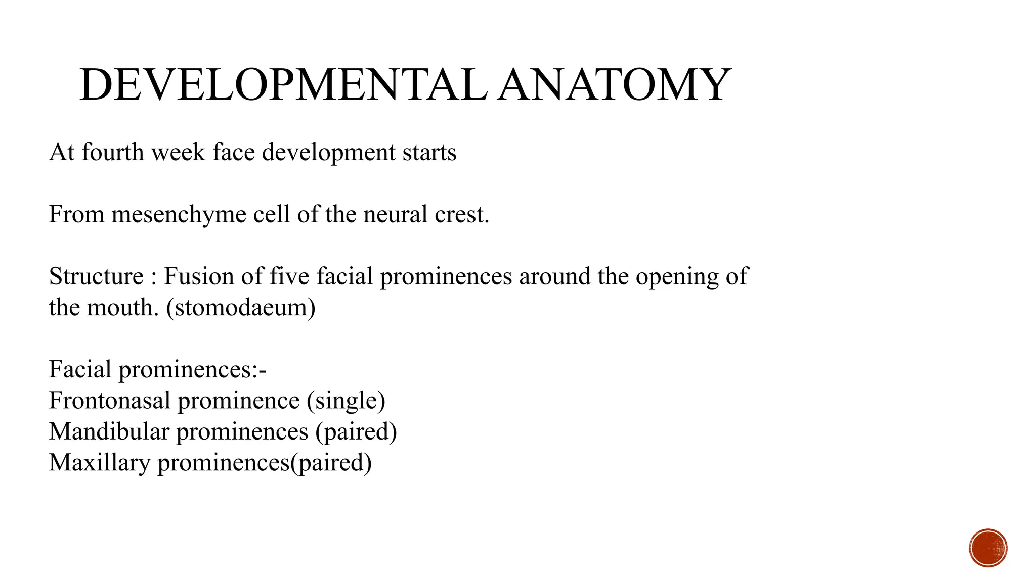 surgical anatomy of neck in depth .pptx
