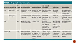 surgical anatomy of neck in depth .pptx