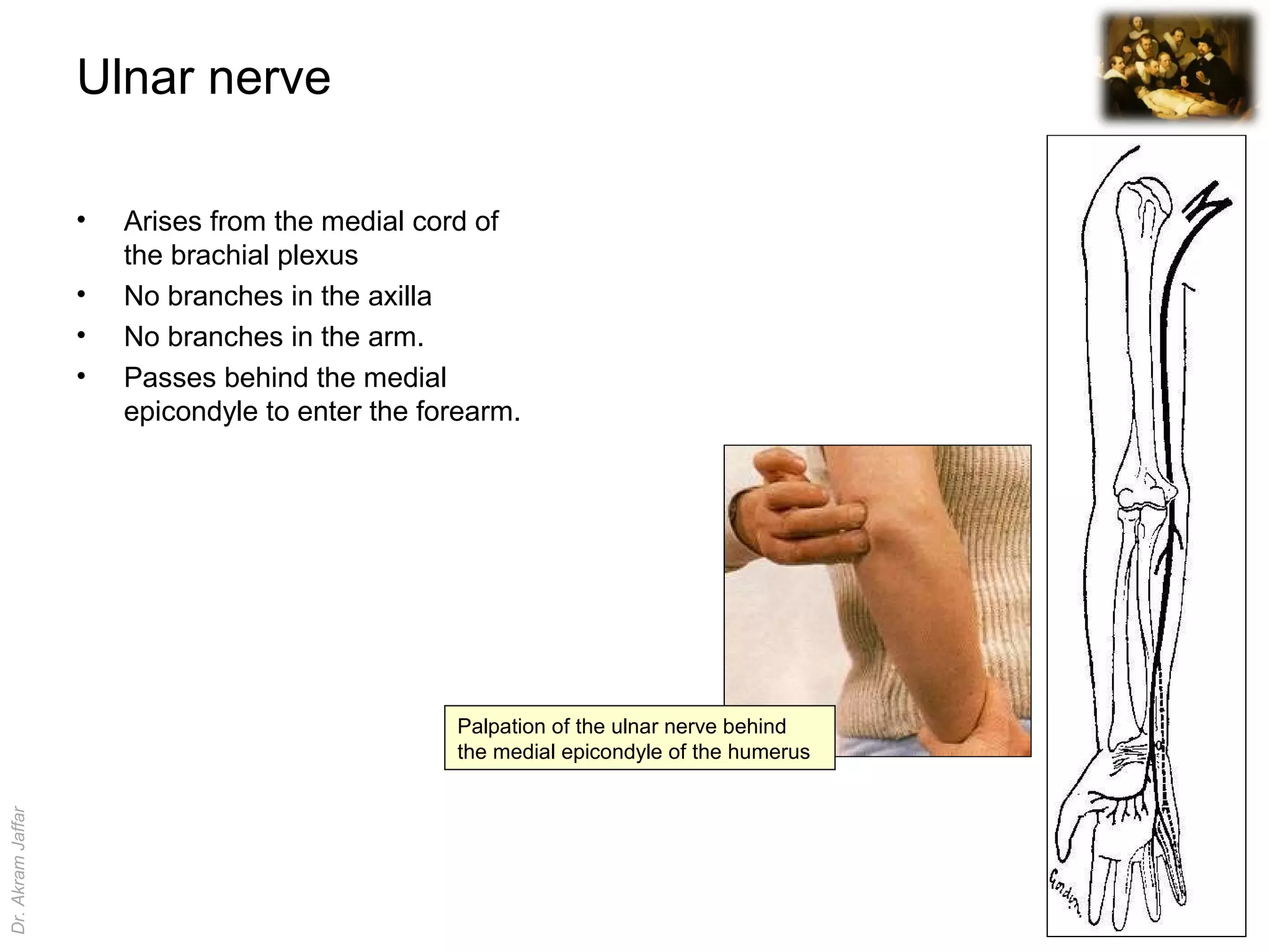 Surgical anatomy of nerve and vascular injuries in the upper limb | PPT