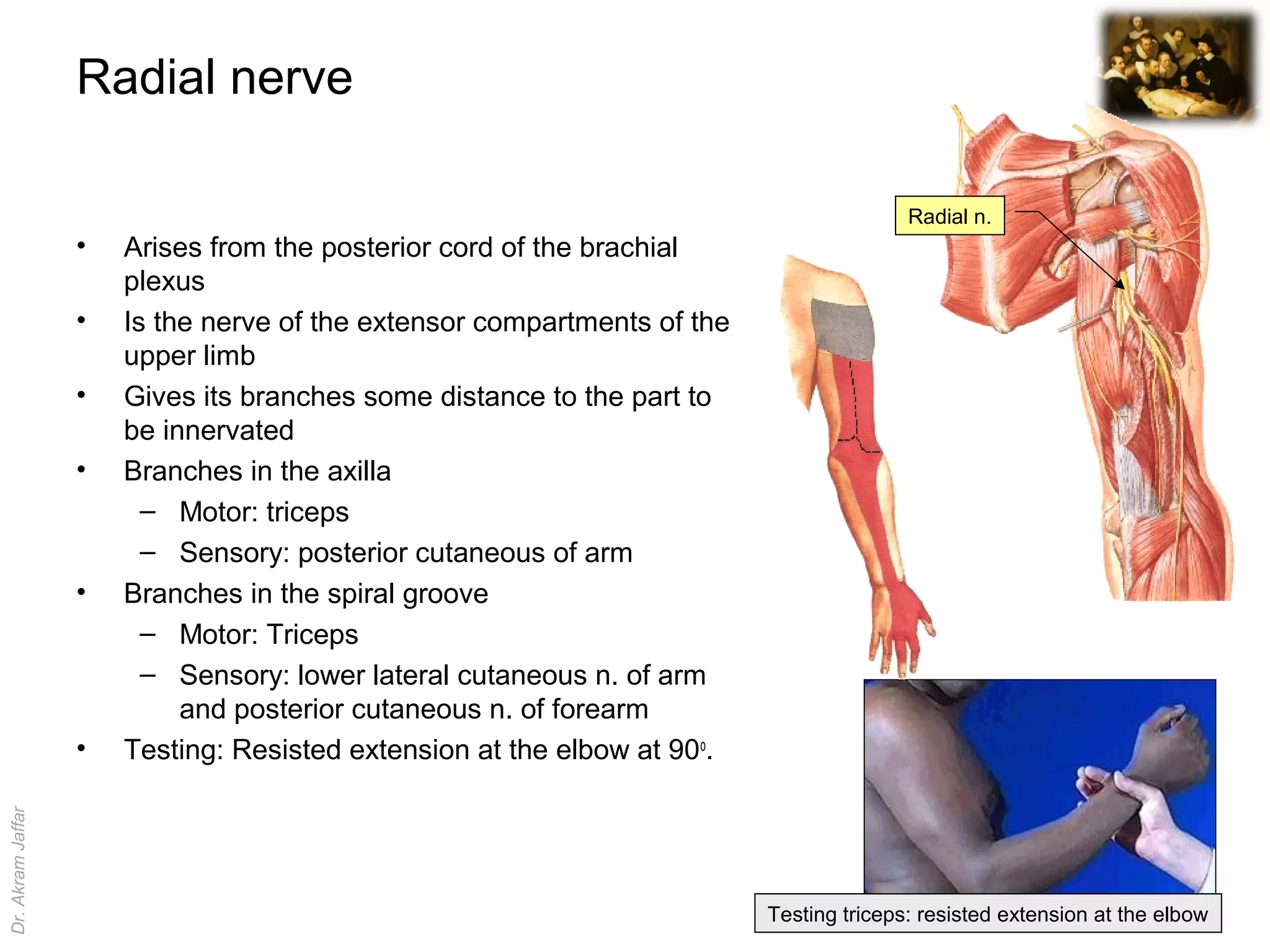 Surgical anatomy of nerve and vascular injuries in the upper limb | PPT