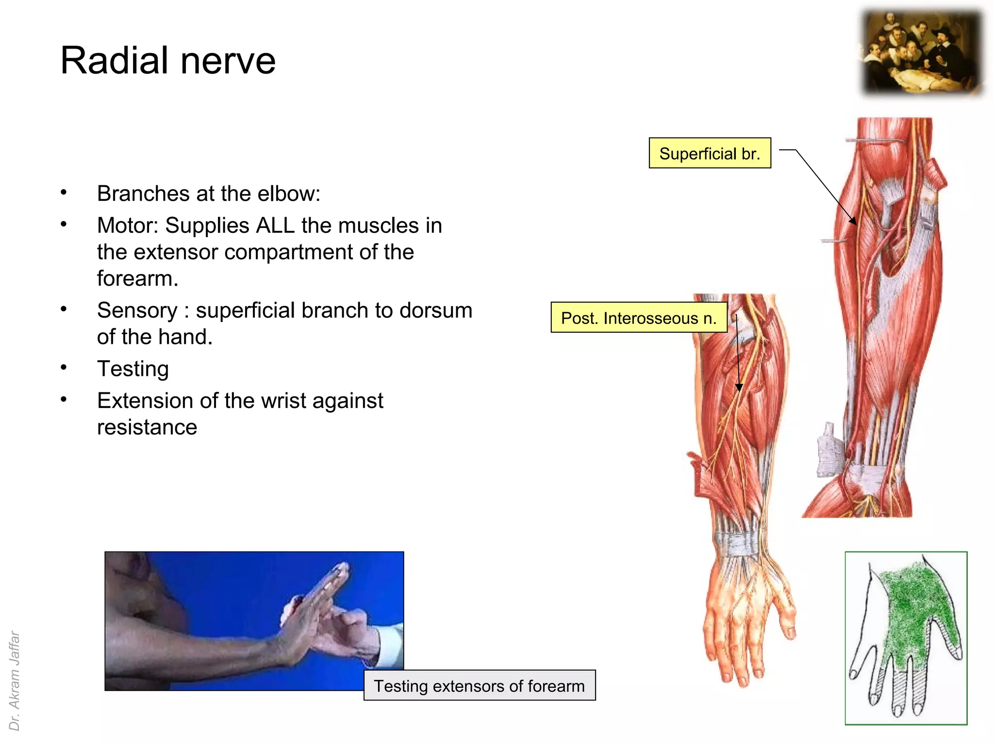 Surgical anatomy of nerve and vascular injuries in the upper limb | PPT