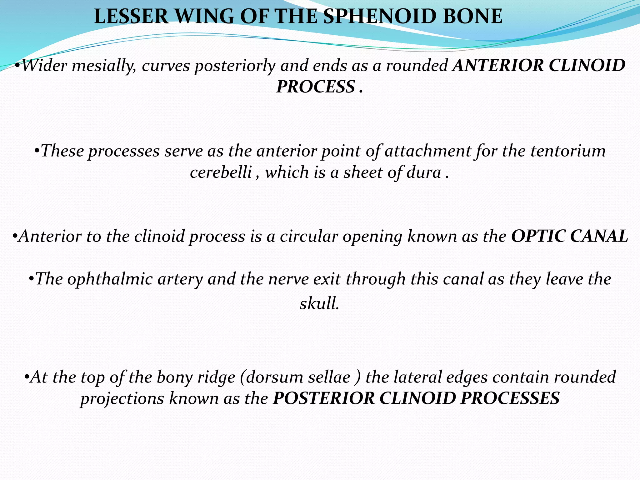 Surgical anatomy of Noe complex in context of trauma | PPTX