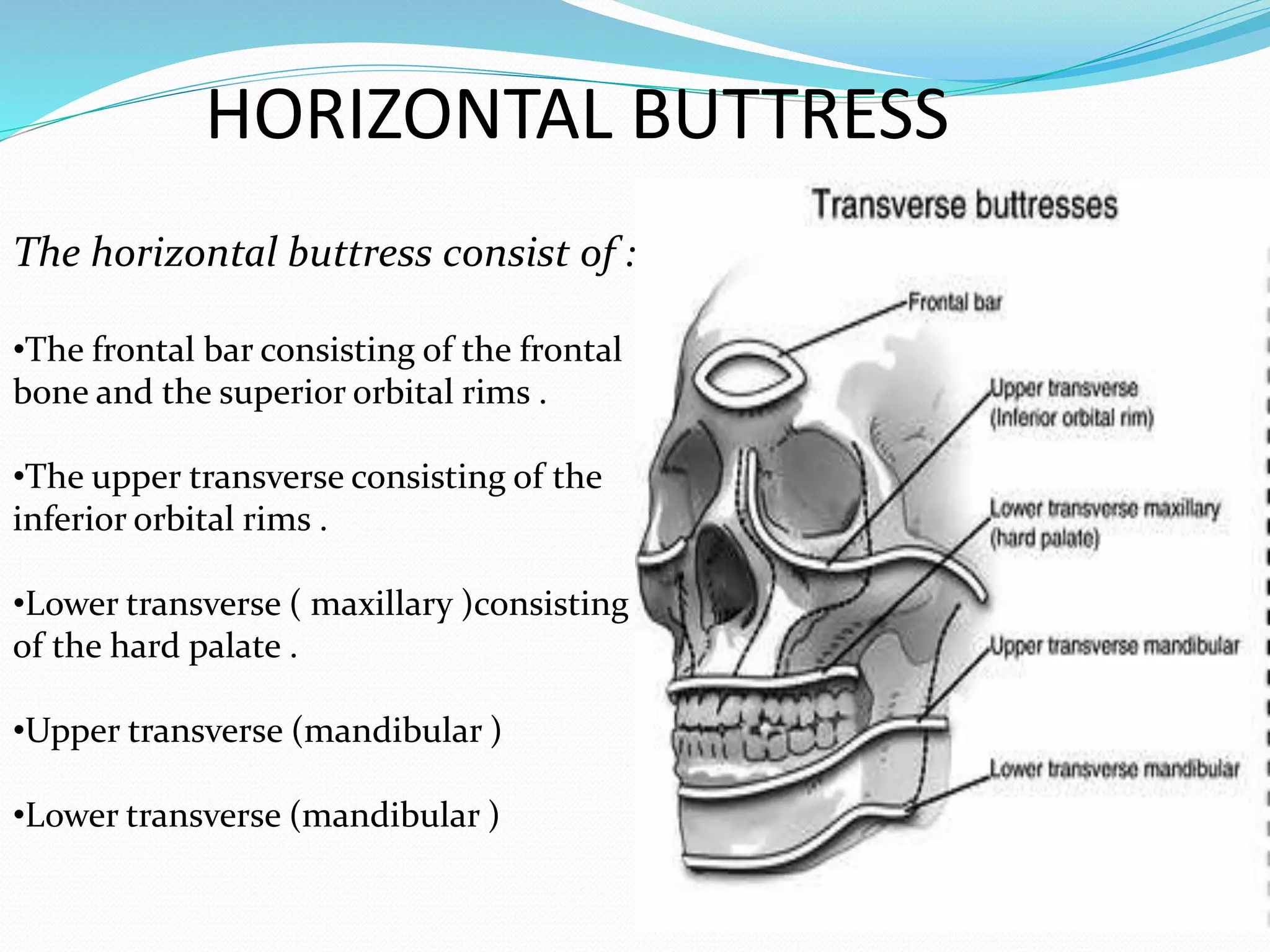 Surgical anatomy of Noe complex in context of trauma | PPTX