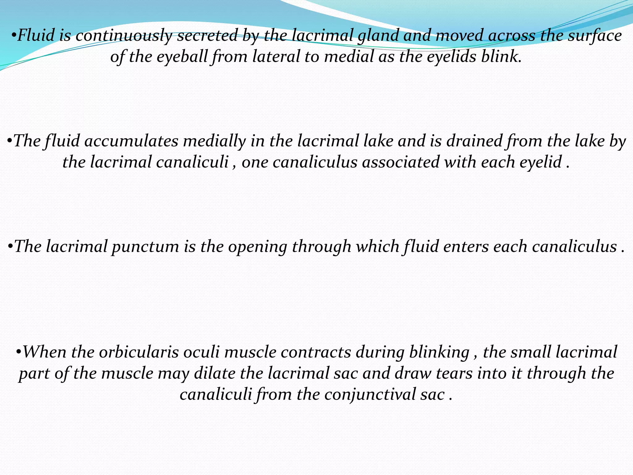 Surgical anatomy of Noe complex in context of trauma | PPTX