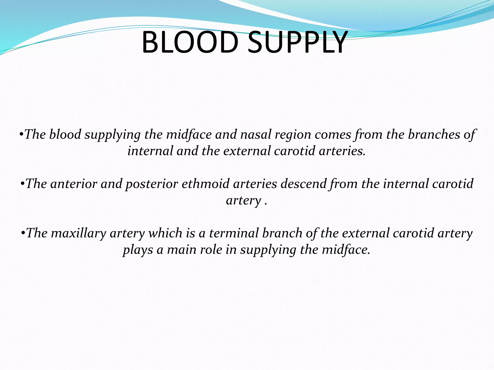 Surgical anatomy of Noe complex in context of trauma | PPTX