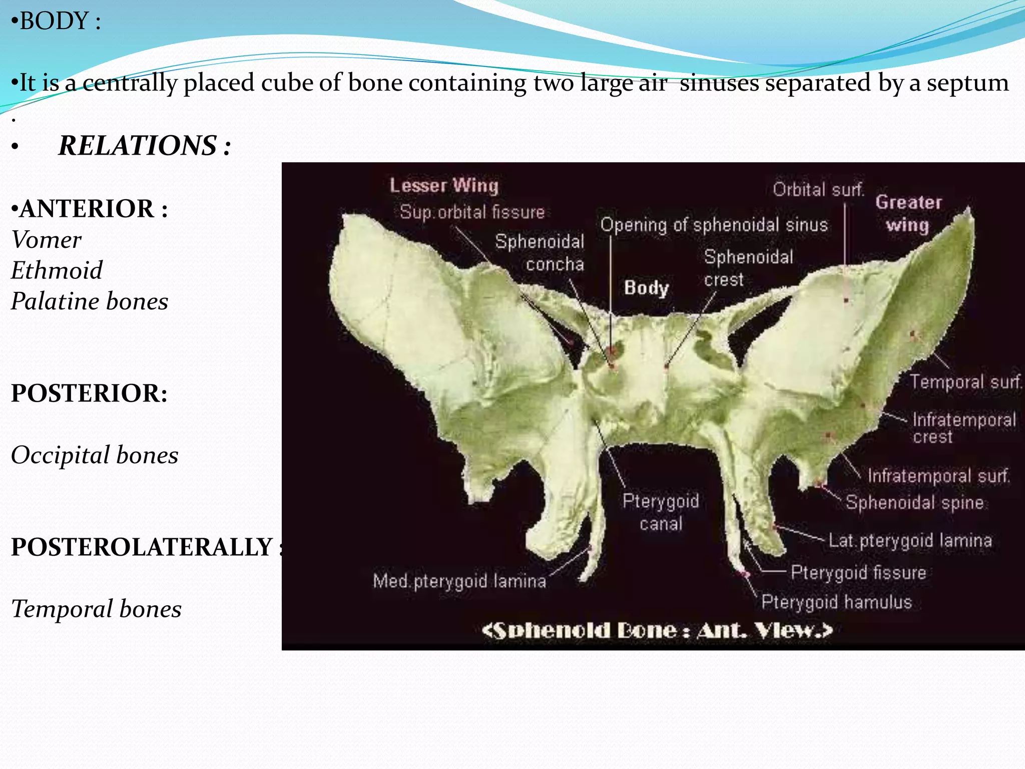 Surgical anatomy of Noe complex in context of trauma | PPTX