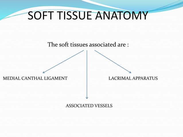 Surgical anatomy of Noe complex in context of trauma | PPT