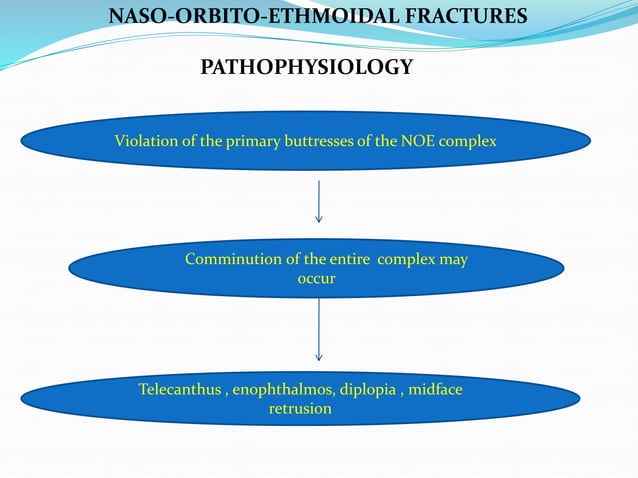 Surgical anatomy of Noe complex in context of trauma | PPT