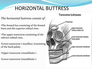 Surgical anatomy of Noe complex in context of trauma | PPT
