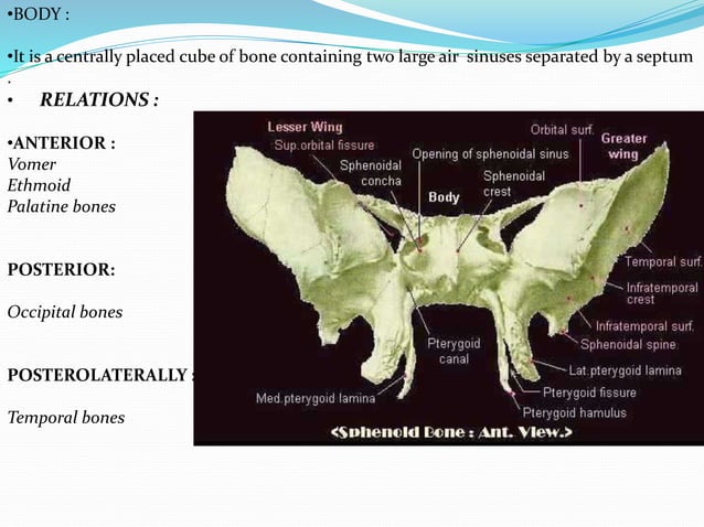 Surgical anatomy of Noe complex in context of trauma