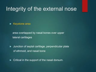 Surgical anatomy of nose | PPTX