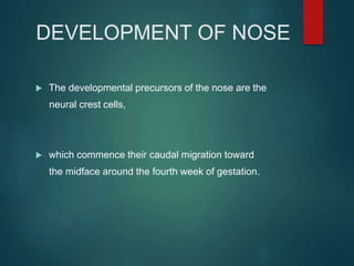 Surgical anatomy of nose | PPTX