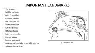 SURGICAL ANATOMY OF NOSE.pptxjfkenwbhzuxn | PPTX