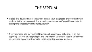 SURGICAL ANATOMY OF NOSE.pptxjfkenwbhzuxn | PPT
