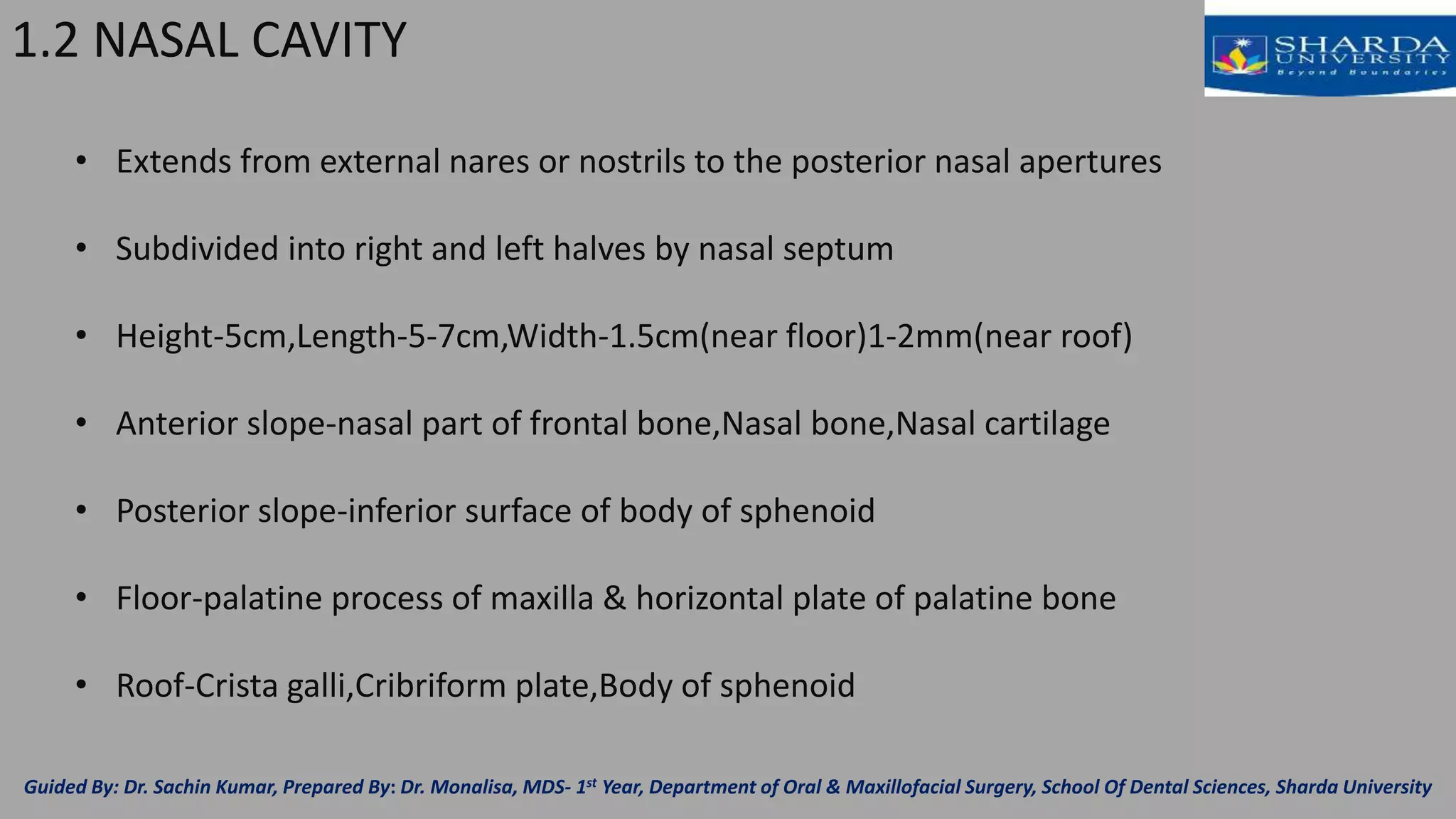 Surgical anatomy of nose and maxilliary sinus.pptx [autosaved] | PPTX