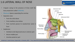 Surgical anatomy of nose and maxilliary sinus.pptx [autosaved] | PPTX