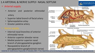 Surgical anatomy of nose and maxilliary sinus.pptx [autosaved] | PPTX