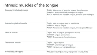 Surgical anatomy of oral cavity.pptx