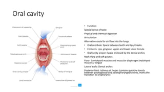 Surgical anatomy of oral cavity.pptx