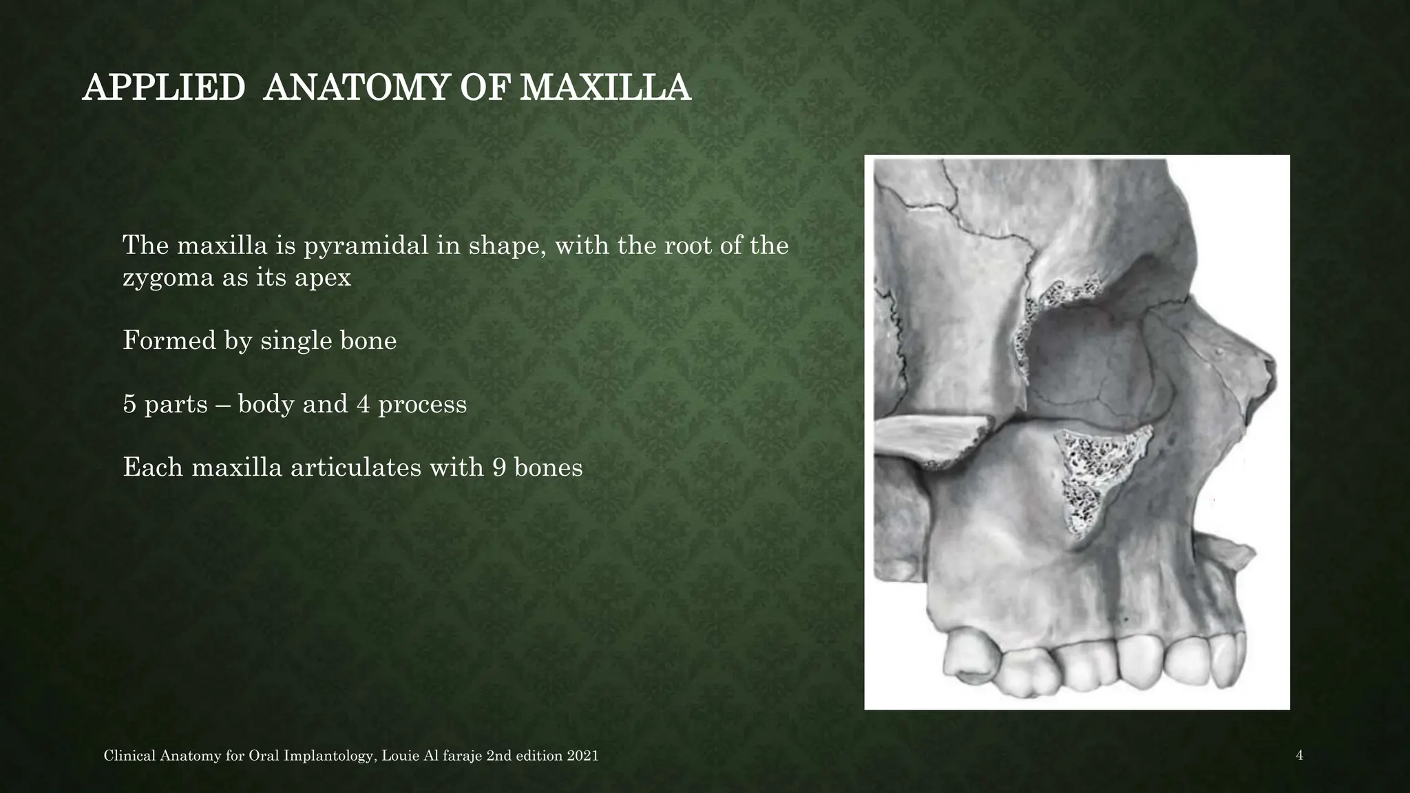 SURGICAL ANATOMY OF ORAL IMPLANTOLOGY.pptx