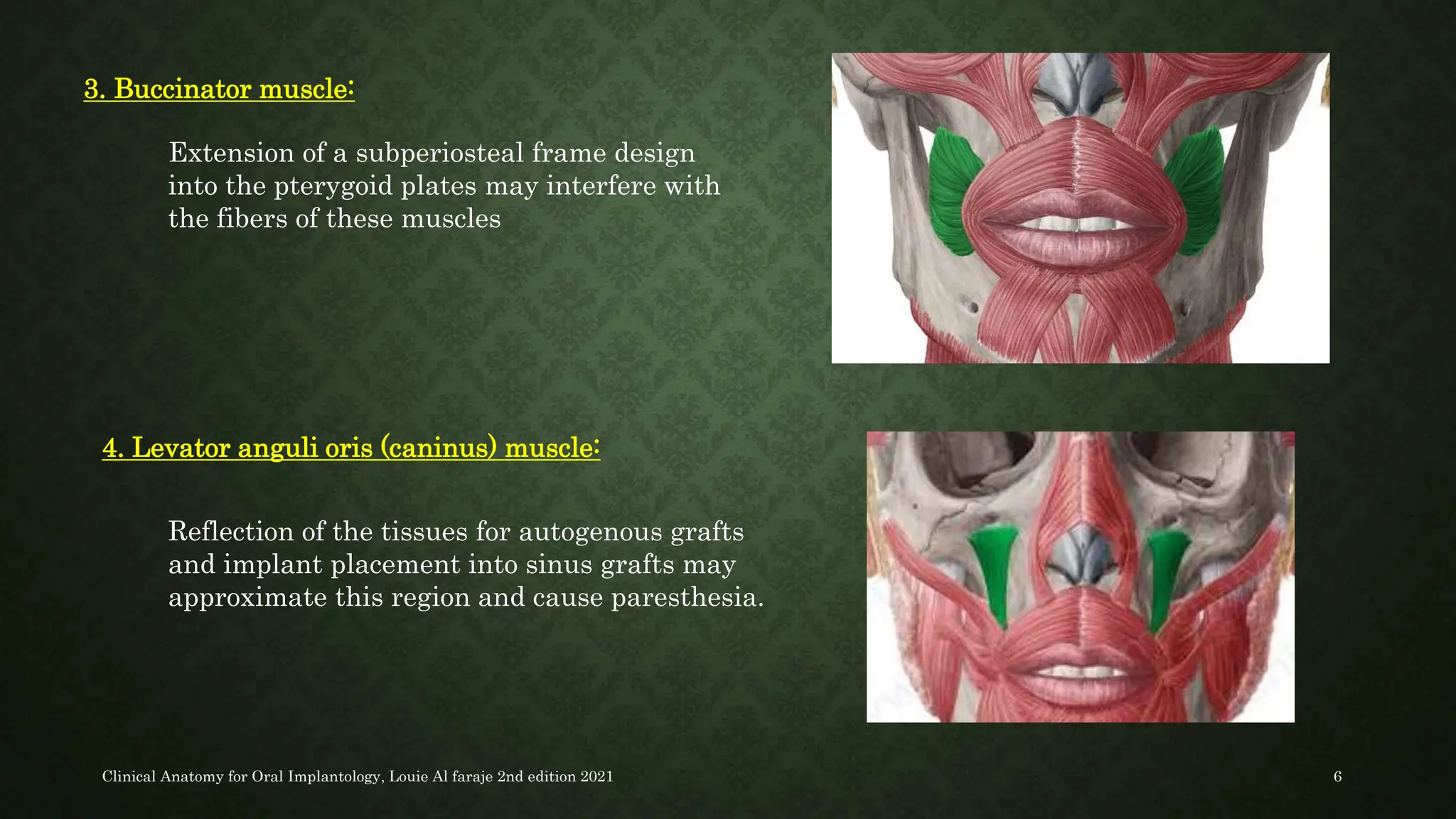 SURGICAL ANATOMY OF ORAL IMPLANTOLOGY.pptx