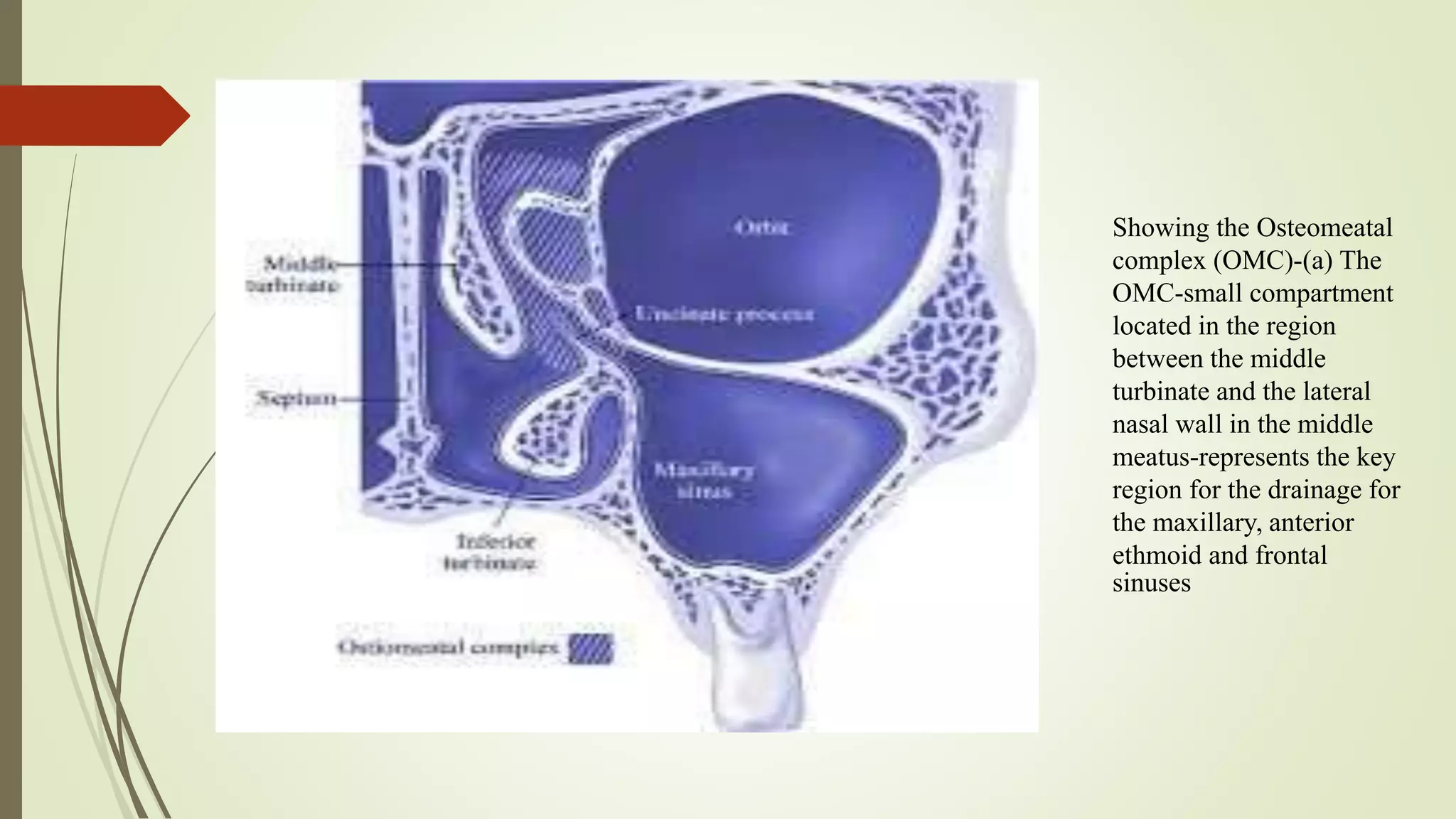 Surgical anatomy of osteomeatal complex | PPTX