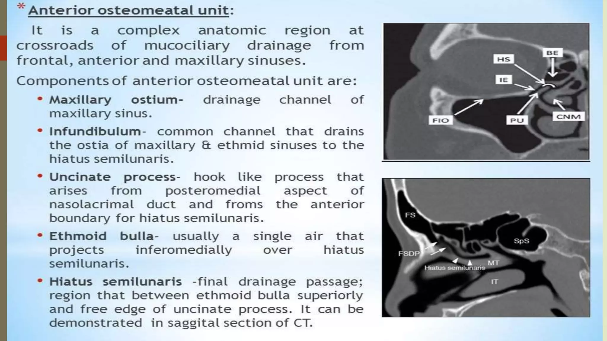 Surgical anatomy of osteomeatal complex | PPTX