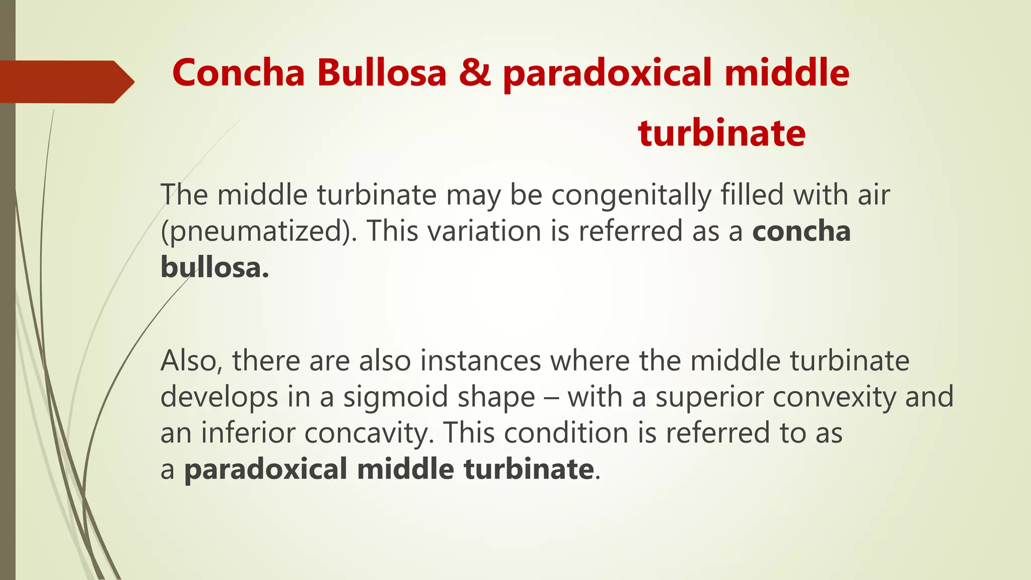 Surgical anatomy of osteomeatal complex | PPTX