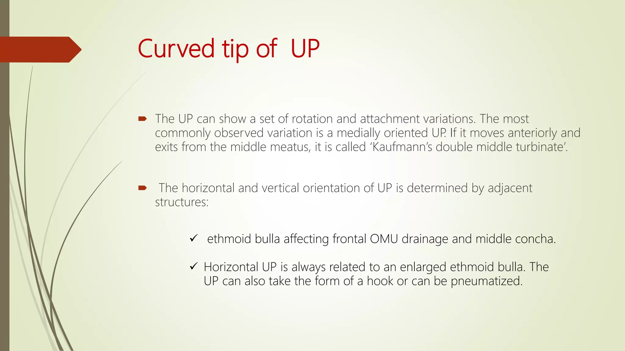 Surgical anatomy of osteomeatal complex | PPTX
