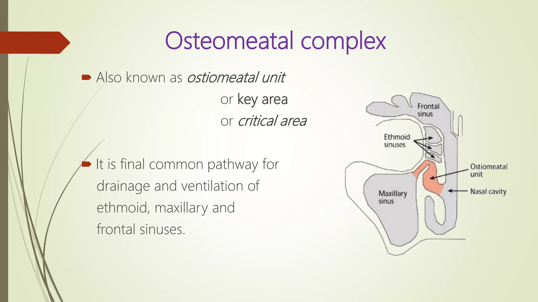 Surgical anatomy of osteomeatal complex | PPTX