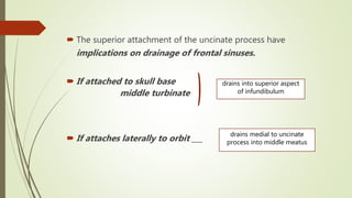 Surgical anatomy of osteomeatal complex | PPTX