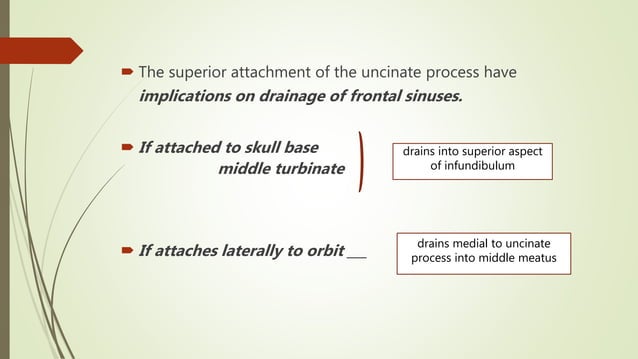 Surgical anatomy of osteomeatal complex | PPTX