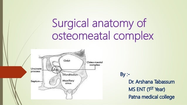 Surgical anatomy of osteomeatal complex
