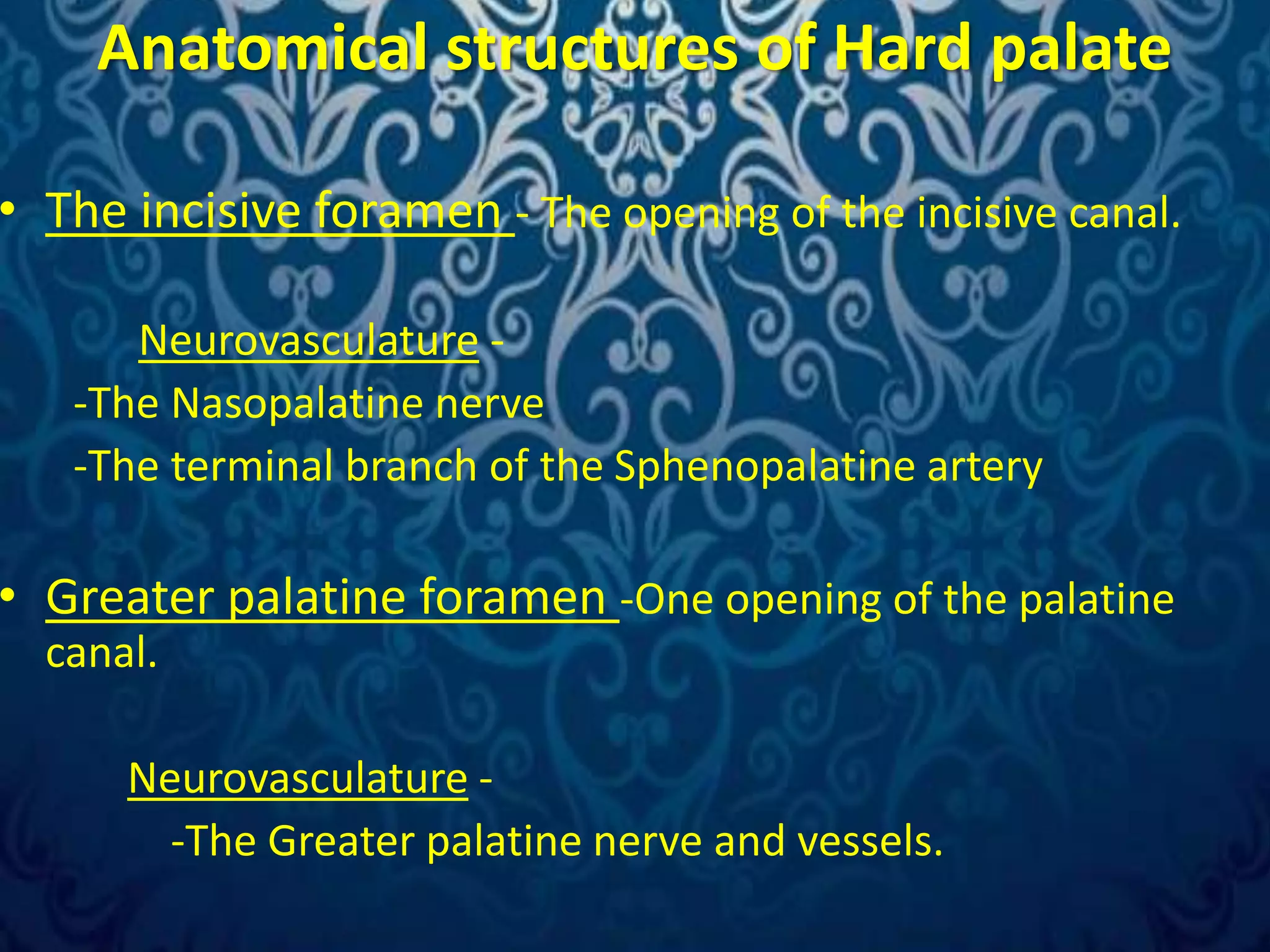 Surgical anatomy of palate. by Dr. Amit T. Suryawanshi, Oral Surgeon ...