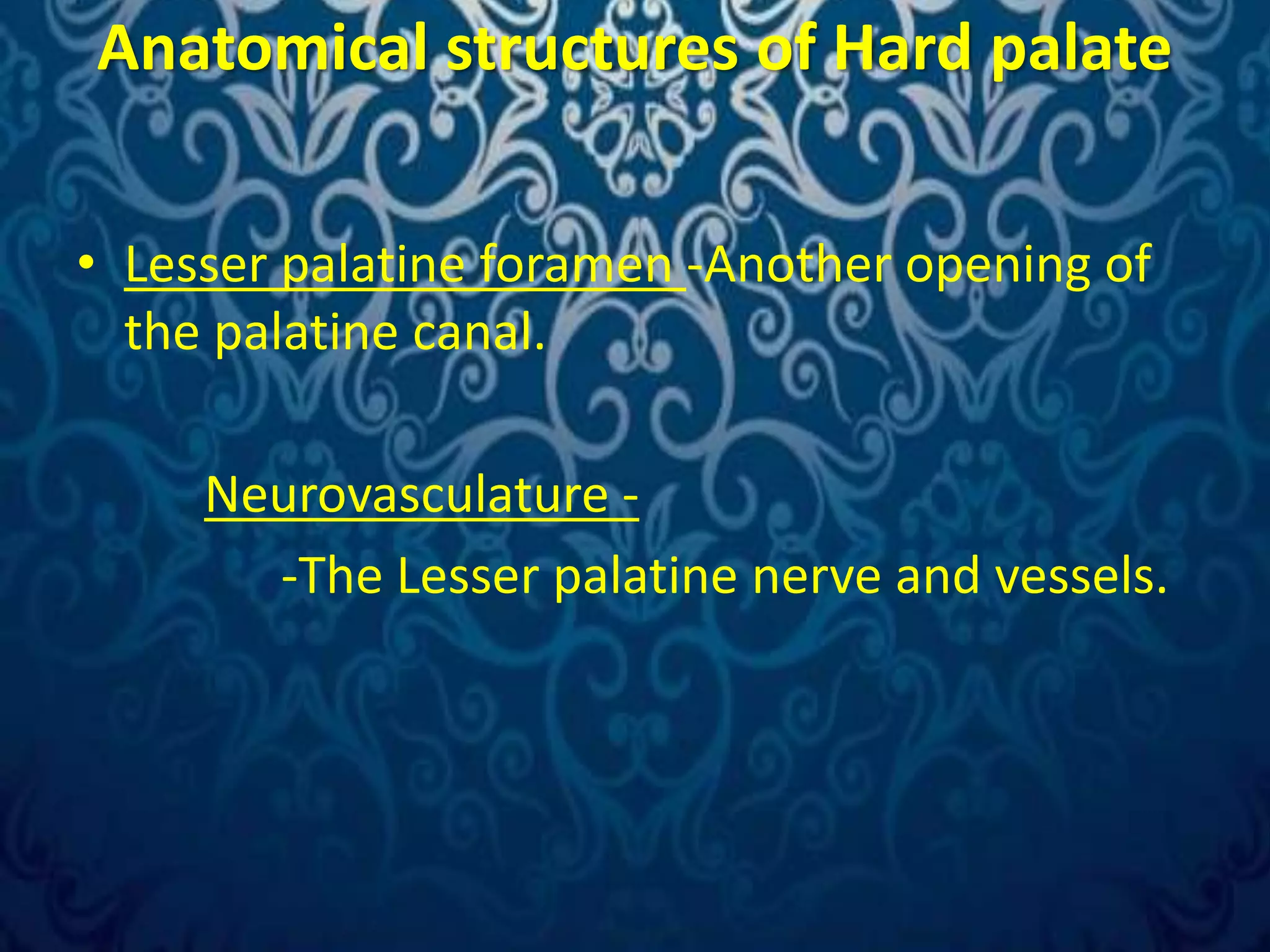Surgical anatomy of palate. by Dr. Amit T. Suryawanshi, Oral Surgeon ...
