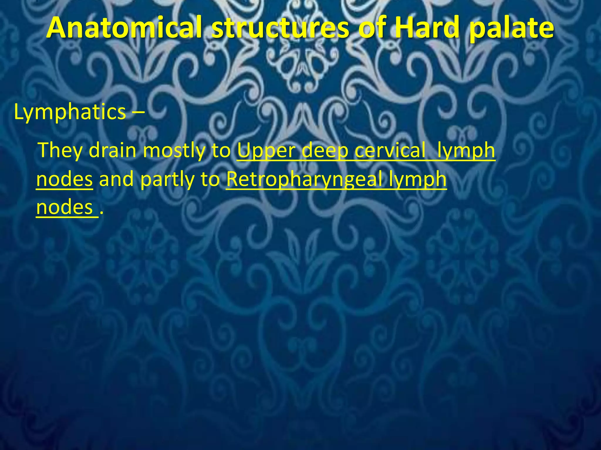Surgical anatomy of palate. by Dr. Amit T. Suryawanshi, Oral Surgeon ...