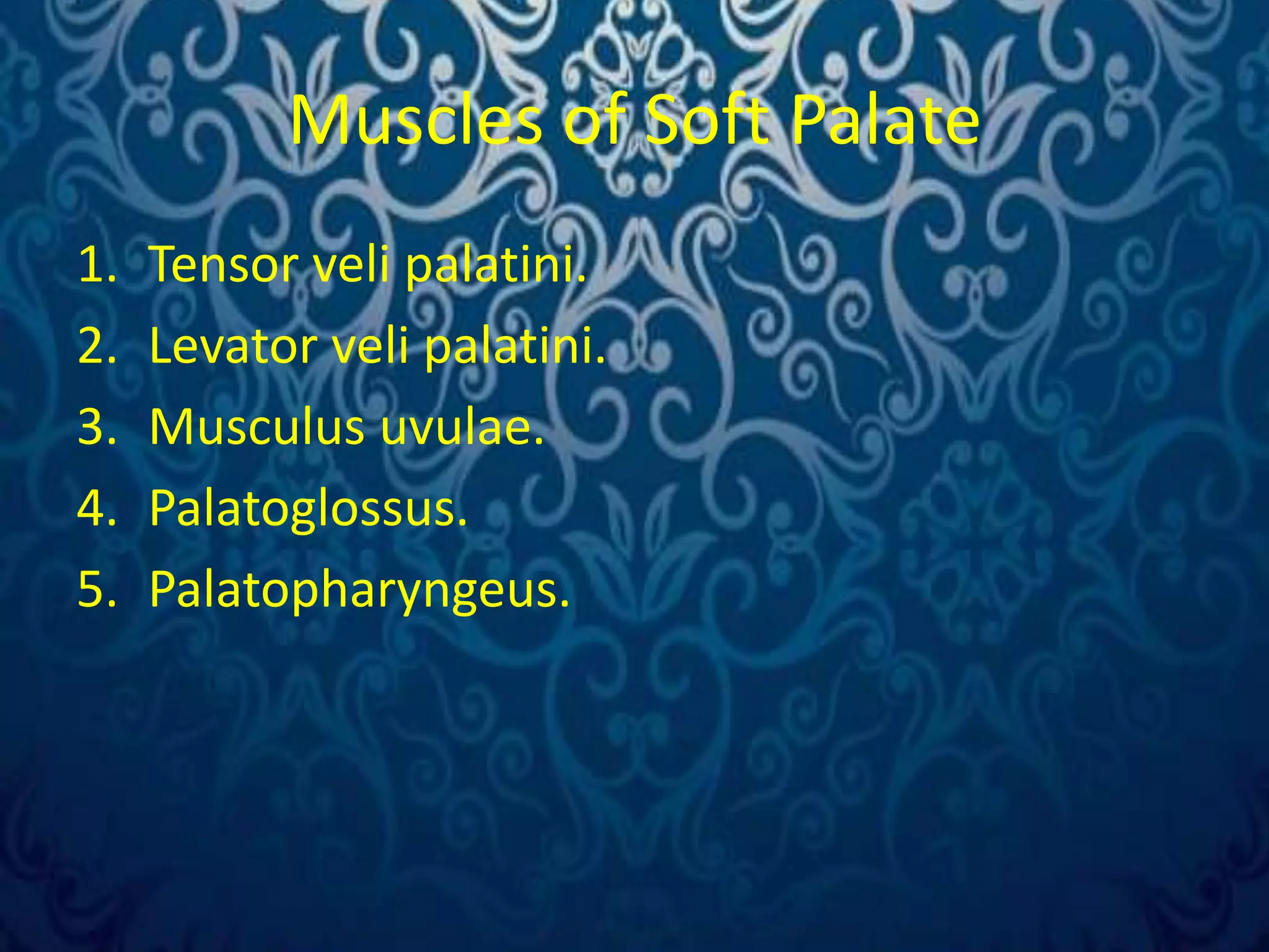 Surgical anatomy of palate. by Dr. Amit T. Suryawanshi, Oral Surgeon ...