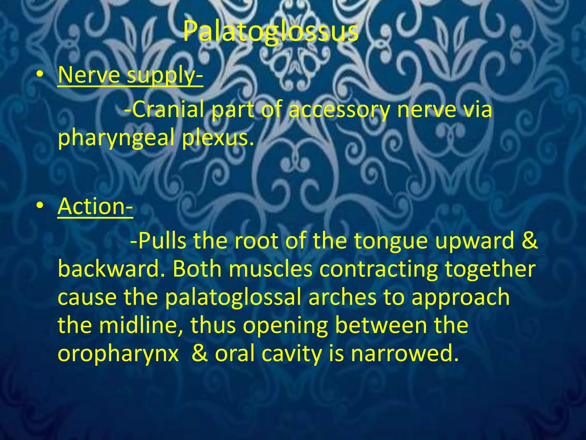 Surgical anatomy of palate. by Dr. Amit T. Suryawanshi, Oral Surgeon ...