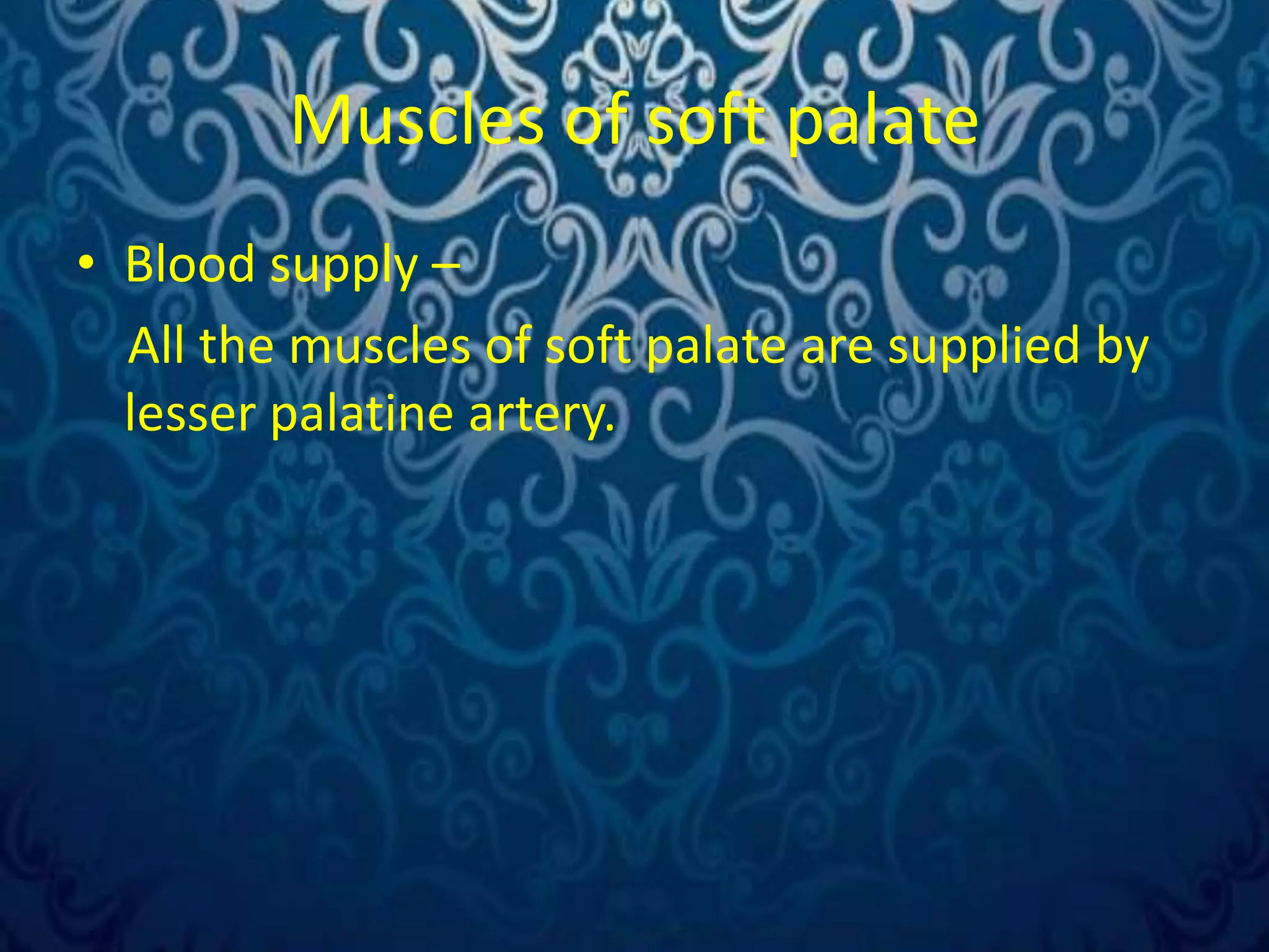 Surgical anatomy of palate. by Dr. Amit T. Suryawanshi, Oral Surgeon ...
