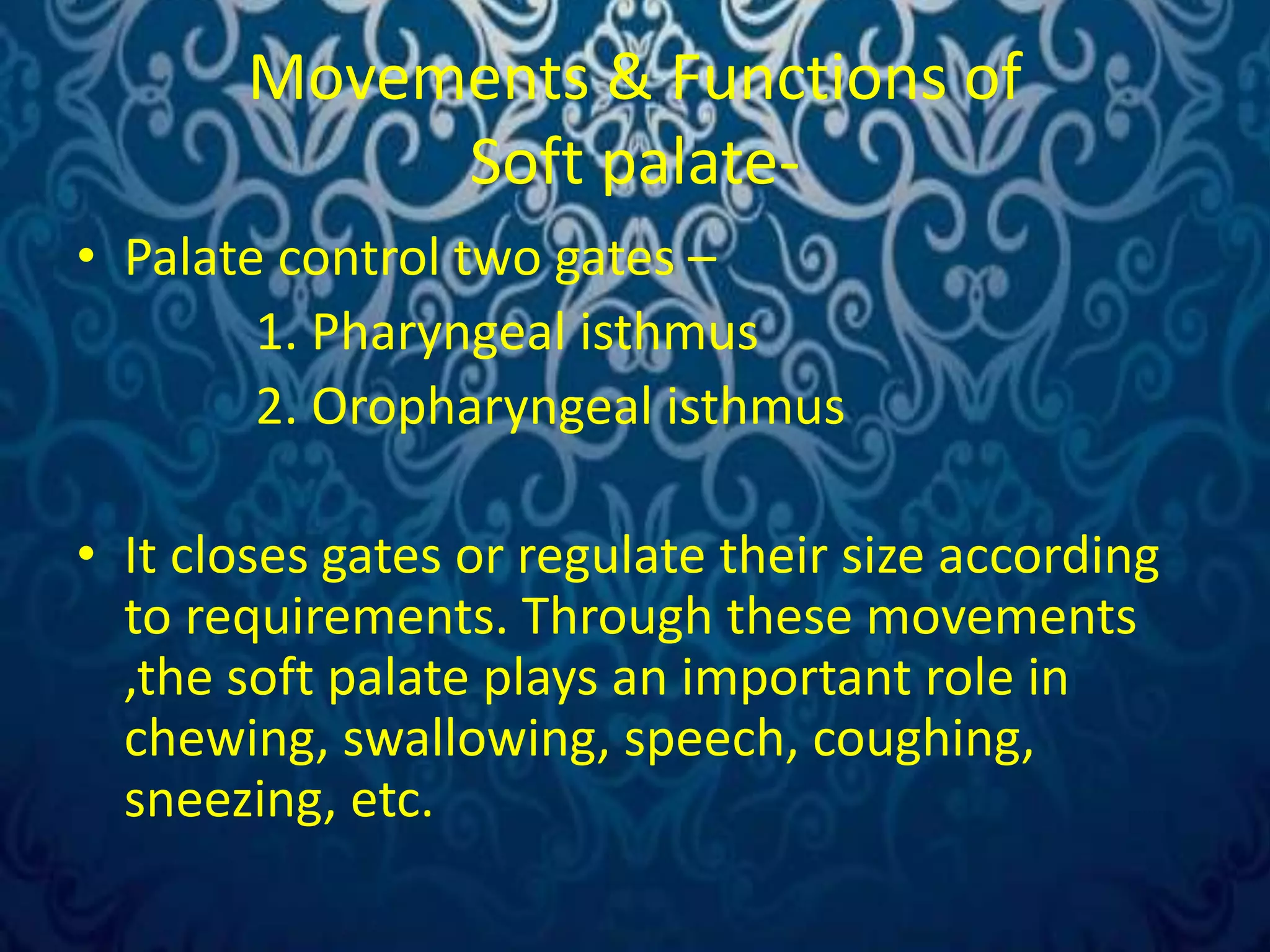 Surgical anatomy of palate. by Dr. Amit T. Suryawanshi, Oral Surgeon ...